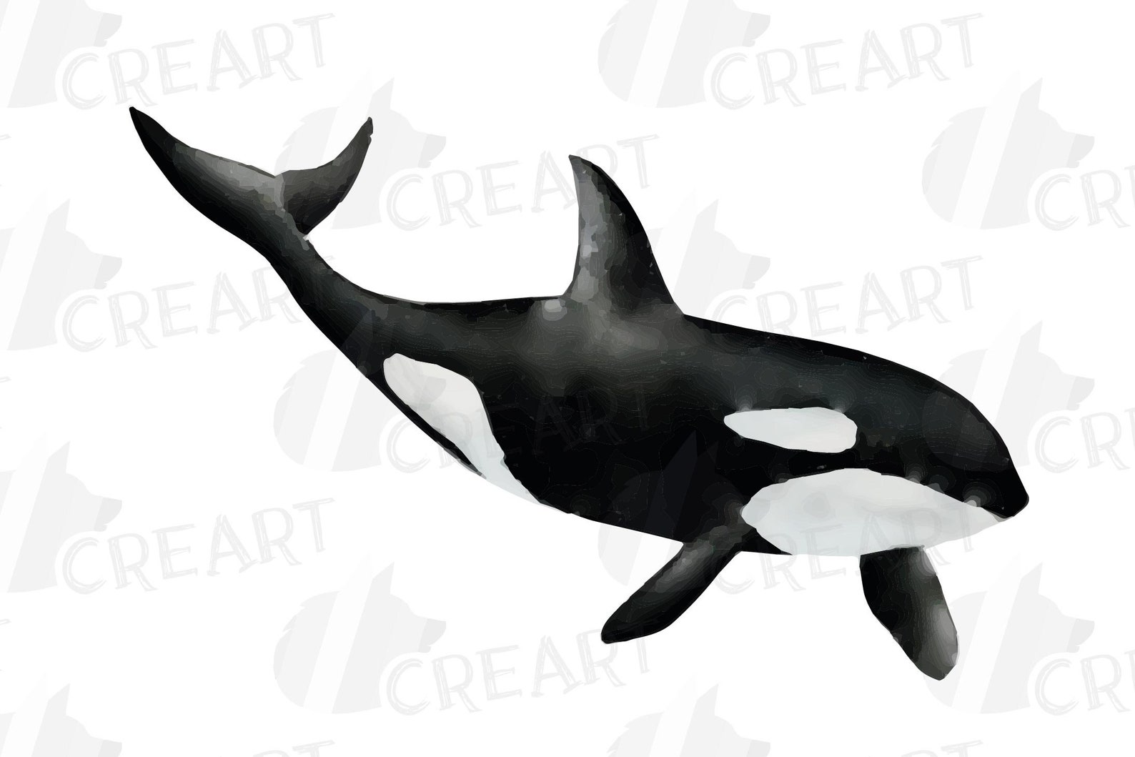 Orca Family Watercolor Clip Art Pack, Killer Whales Decoration ...