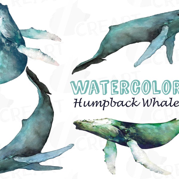 Humpback Whale Svg - Etsy