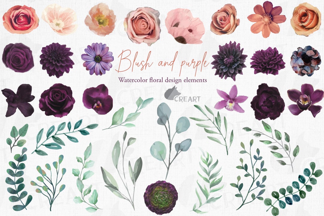 Plum, Purple, Blush and Pink Watercolor Flowers Clip Art. Floral ...