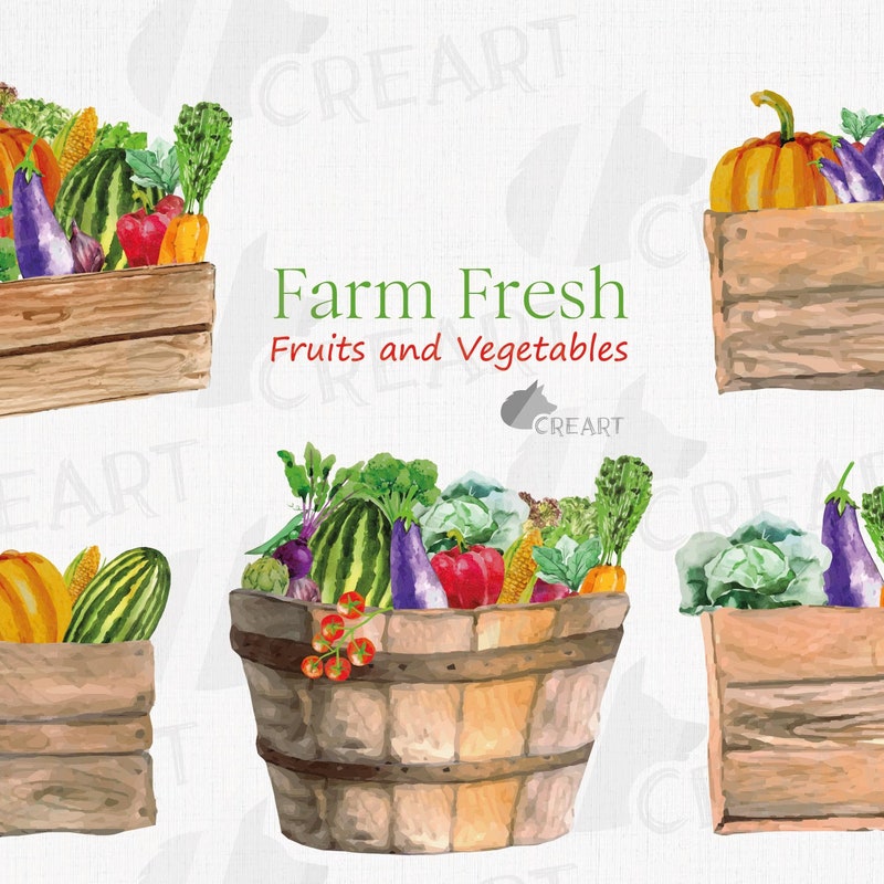 Vegetable Basket - Etsy