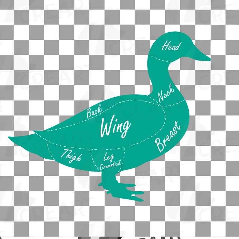 Butcher Duck Diagram Clip Art Digital Duck Chart Duck Cuts - Etsy