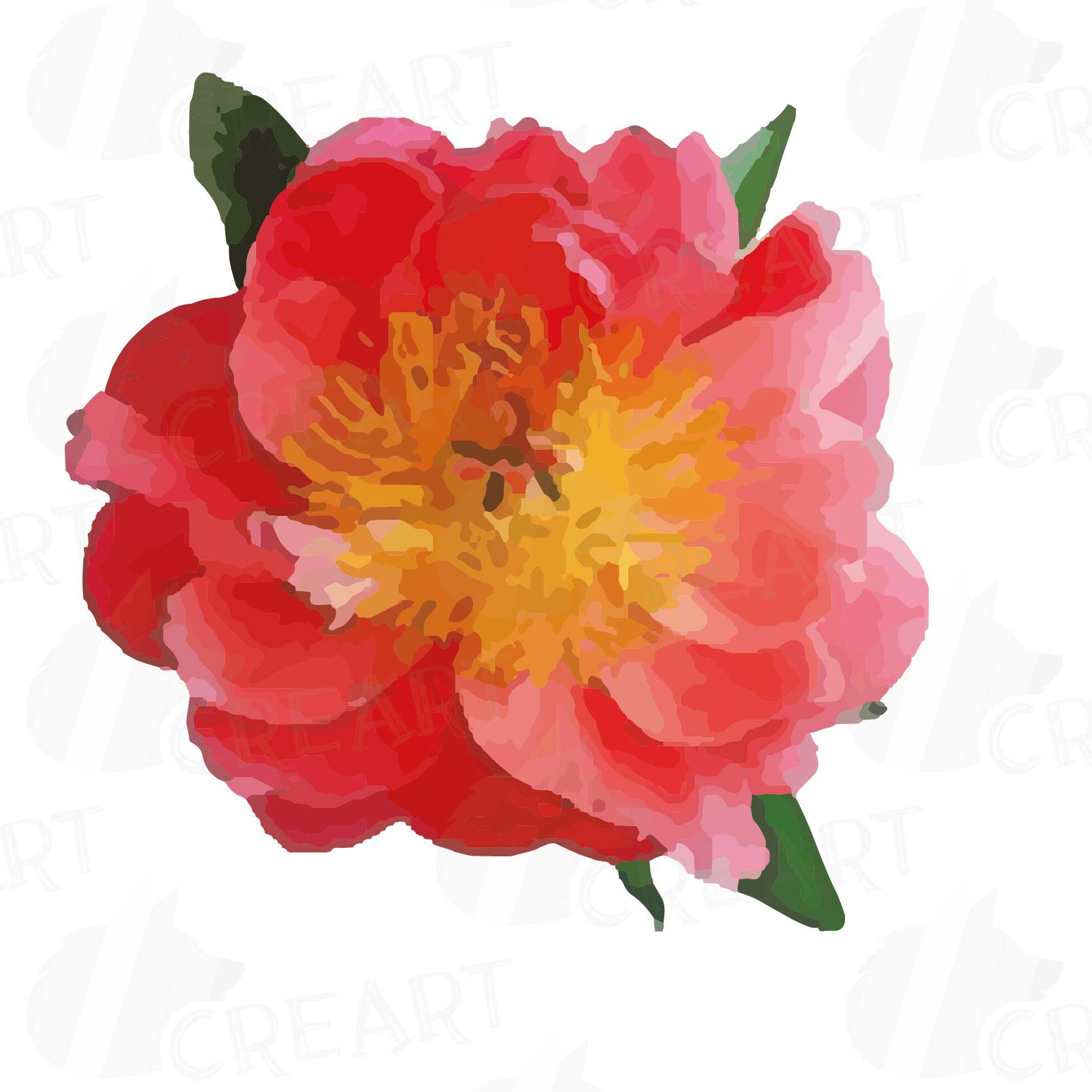 Peony Watercolor Clip Art Collection Colorful Watercolor | Etsy