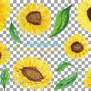 Sunflowers Watercolor Clip Art Pack 2, Watercolor Sunflower Design ...