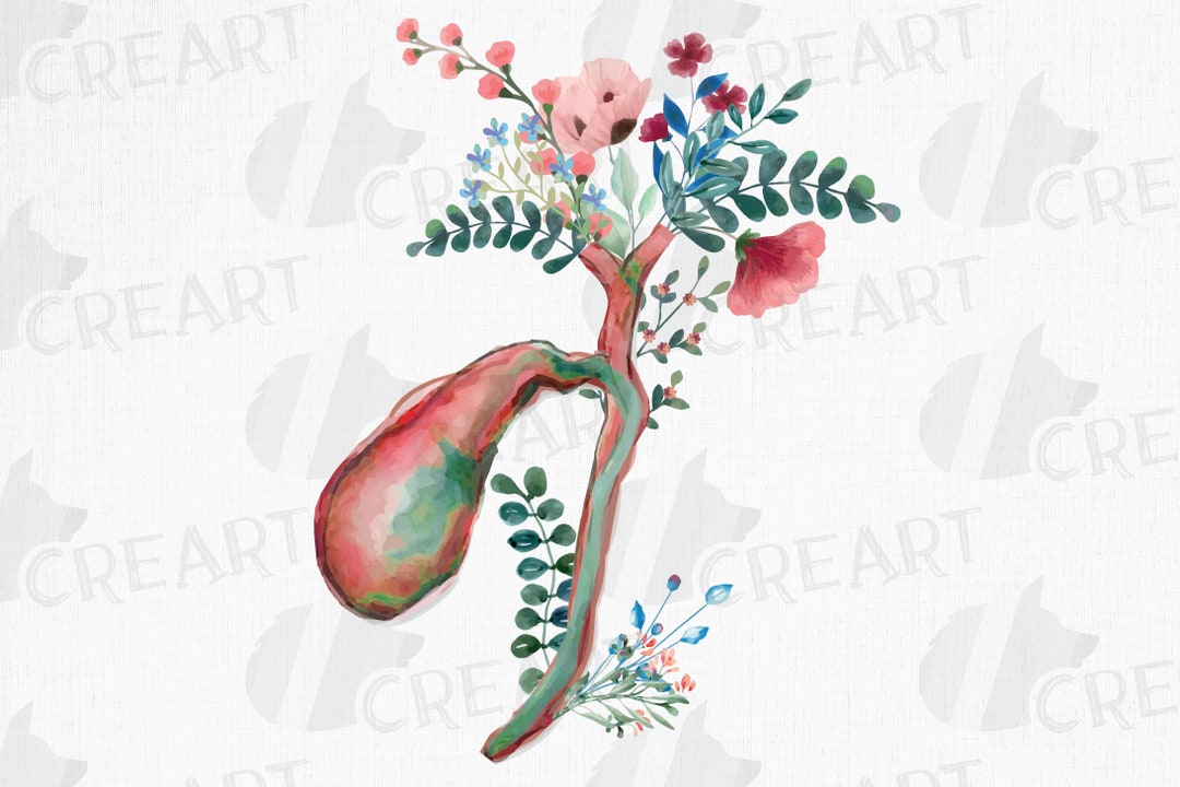 Floral Anatomical Gallbladder Decor Design. Floral Human Cholecyst Gift ...