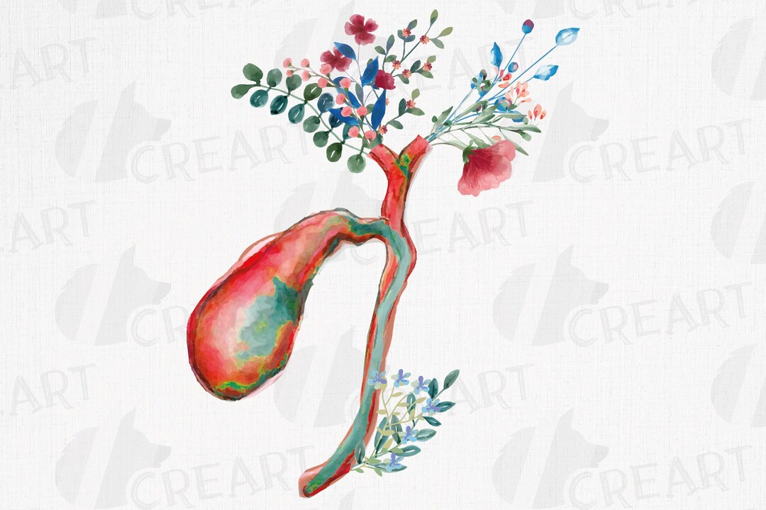 Floral Anatomical Red Gallbladder Design. Floral Human Cholecyst Gift ...