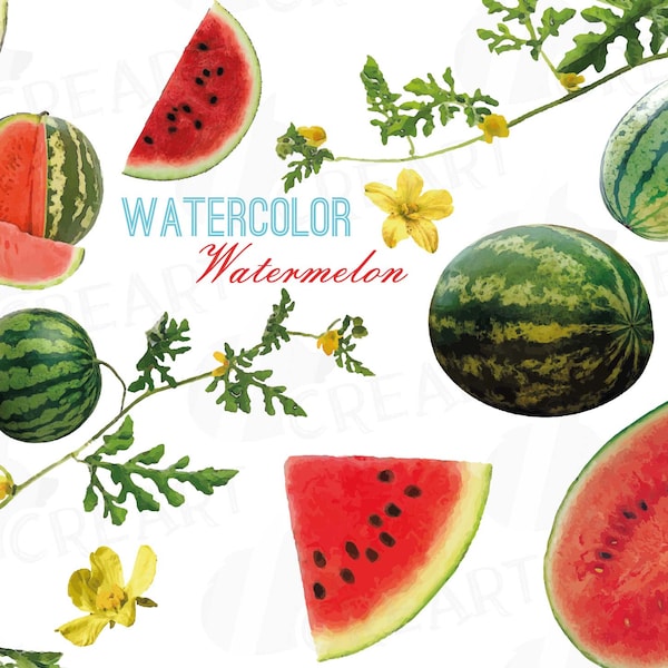 Watermelon Clip Art - Etsy