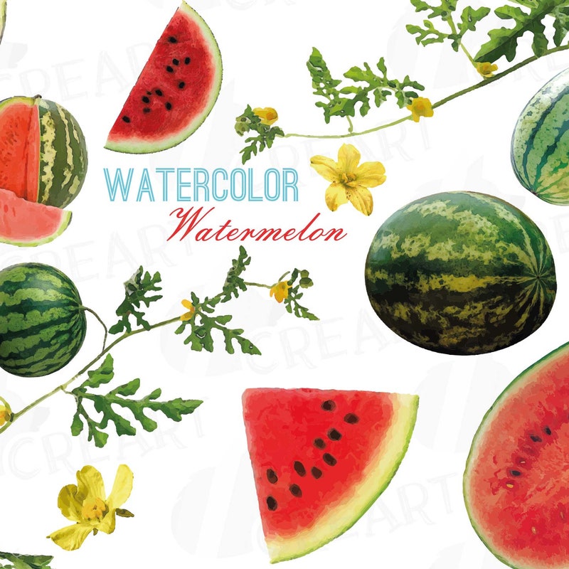 Watermelon Clip Art - Etsy
