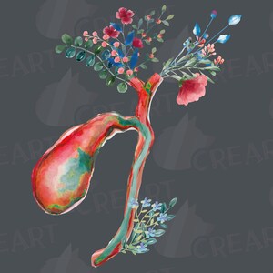 Floral Anatomical Red Gallbladder Design. Floral Human Cholecyst Gift ...
