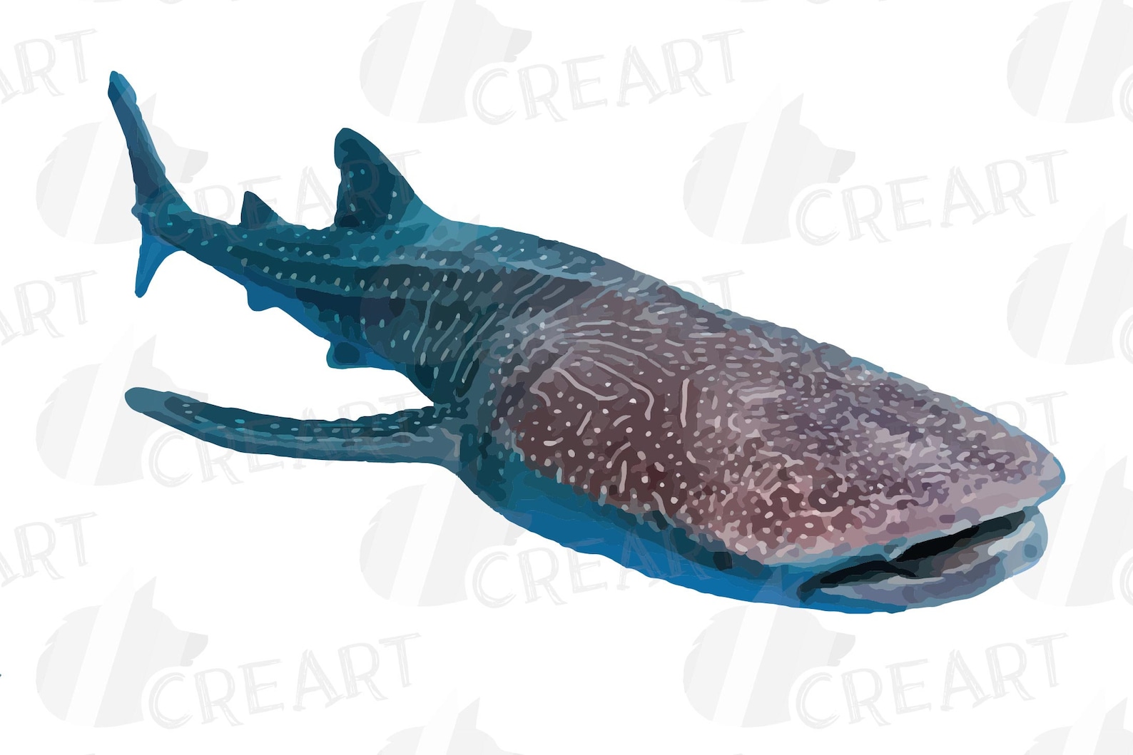 Watercolor Whale Shark Clip Art Pack, Colorful Whales Collection. Png ...