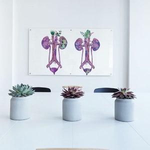 Watercolor Purple Anatomical Urinary Tract System With Succulents ...