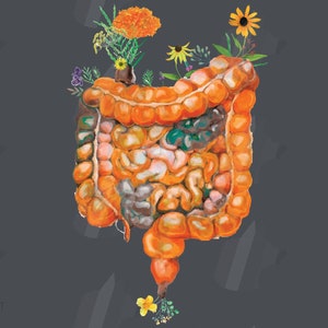 Prairie Flowers Anatomical Intestines Design. Watercolor Floral Human ...