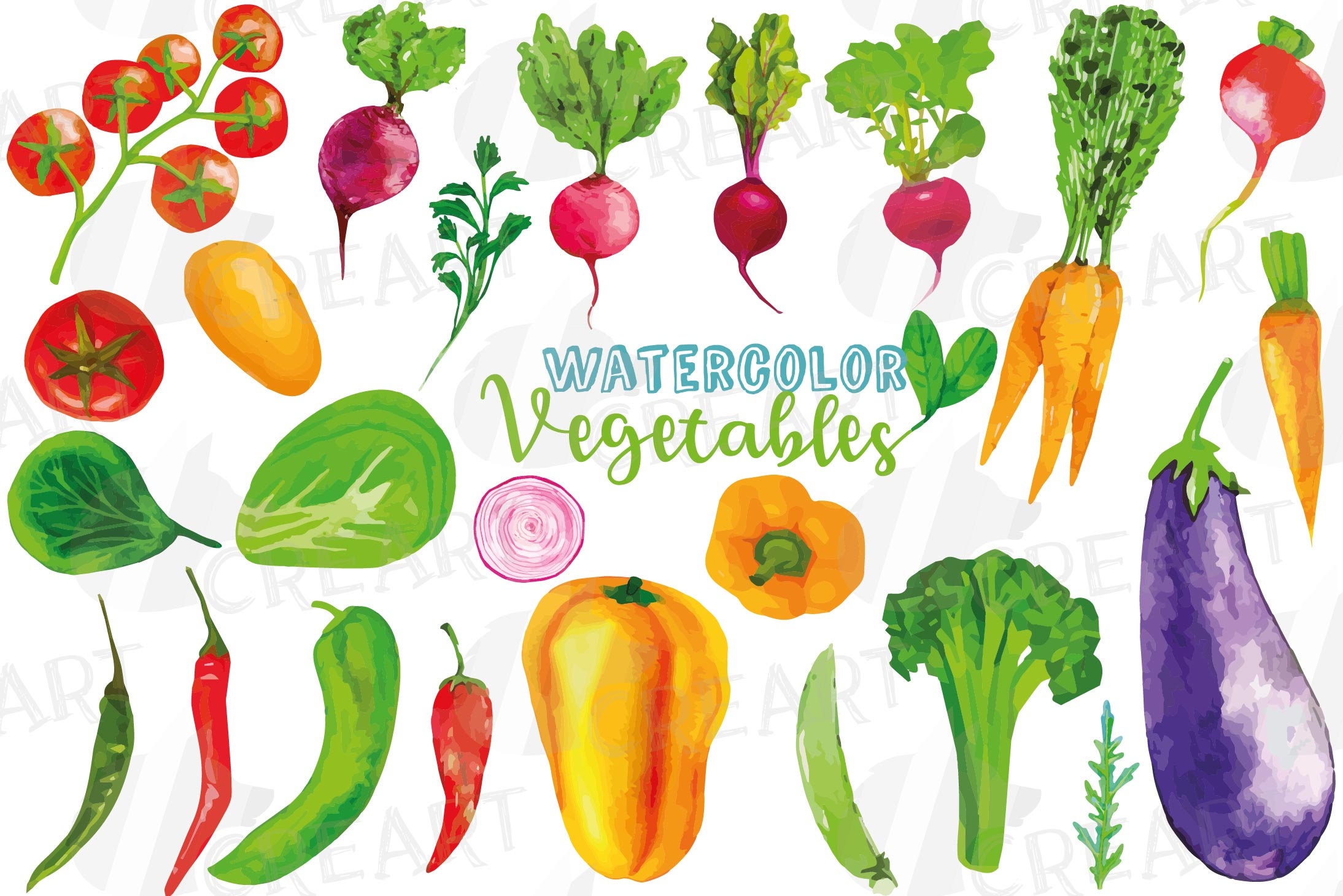 Watercolor Vegetables Clip Art Pack Green and Colorful | Etsy