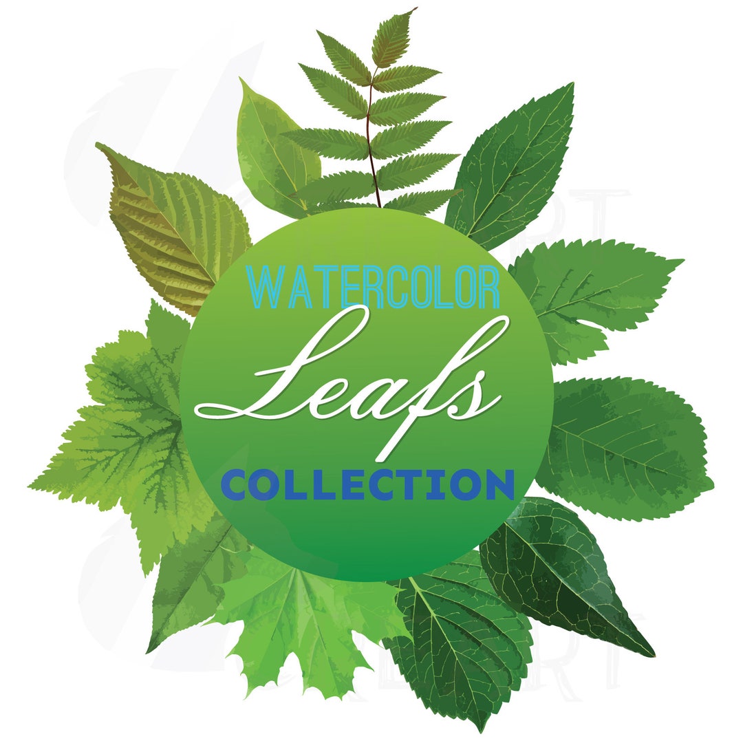 Watercolor Leaf Clip Art Pack. Eps, Png, Jpg, Pdf, Svg, Vector ...