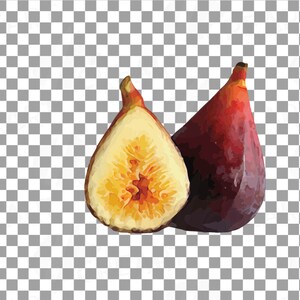 Watercolor Fig Clip Art Pack,common Fig Leaves, Fig Fruit, Healthy Food ...