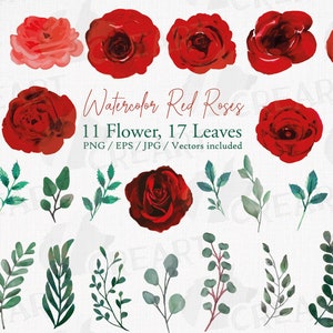 Watercolor True Red Roses and Green Leaves Invitation Clip Art Pack ...