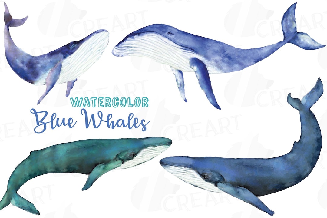 Watercolor Blue Whale Clip Art Pack, Blue Whales Decoration. Printable ...