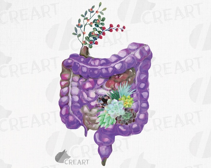 Intestines SVG, Intestines Clipart, Intestinal Anatomy Graphic ...