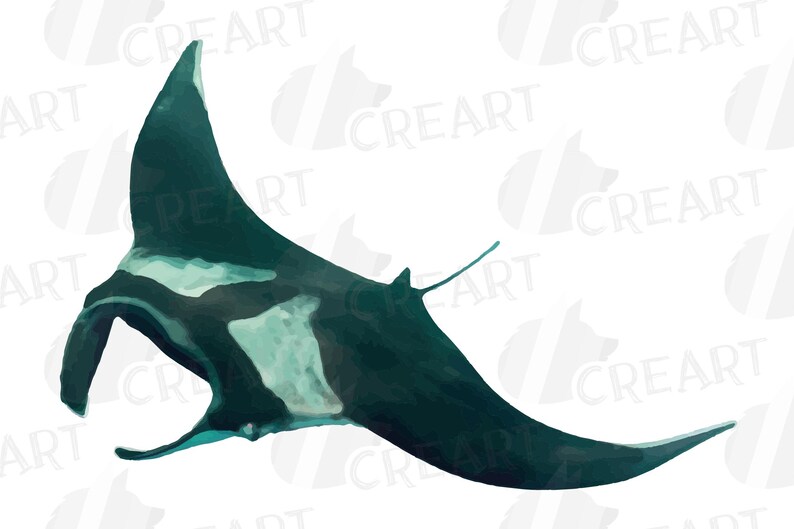 Watercolor Manta Rays Clip Art Pack Colorful Manta Ray | Etsy