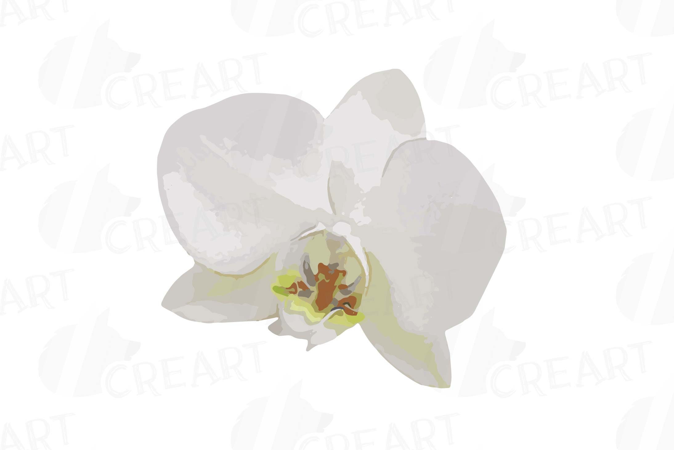 White Orchids Watercolor Clip Art Pack Orchid Leaves and - Etsy