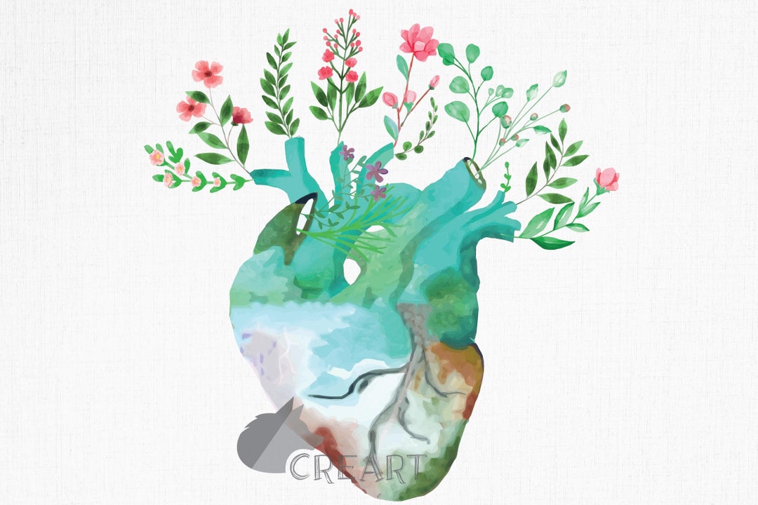 Floral Human Heart Gift Art. Flowering Anatomical Heart Valentine's Day ...