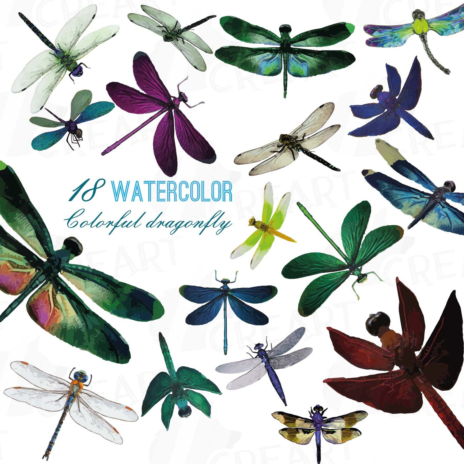 Dragonfly Watercolor Clip Art Collection Colorful Watercolor | Etsy