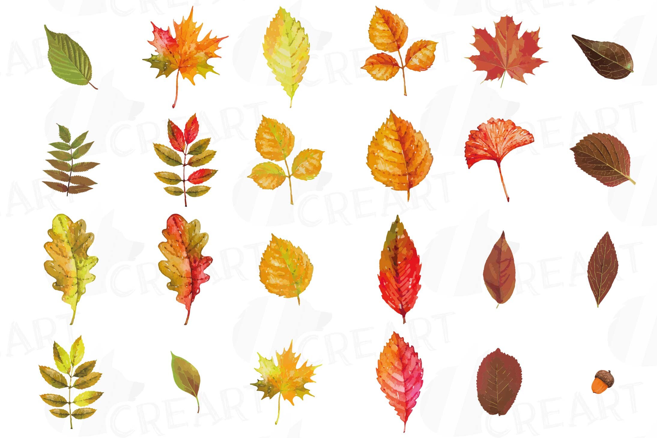 Autumn Leafs Watercolor Clip Art Pack Watercolor Fall - Etsy