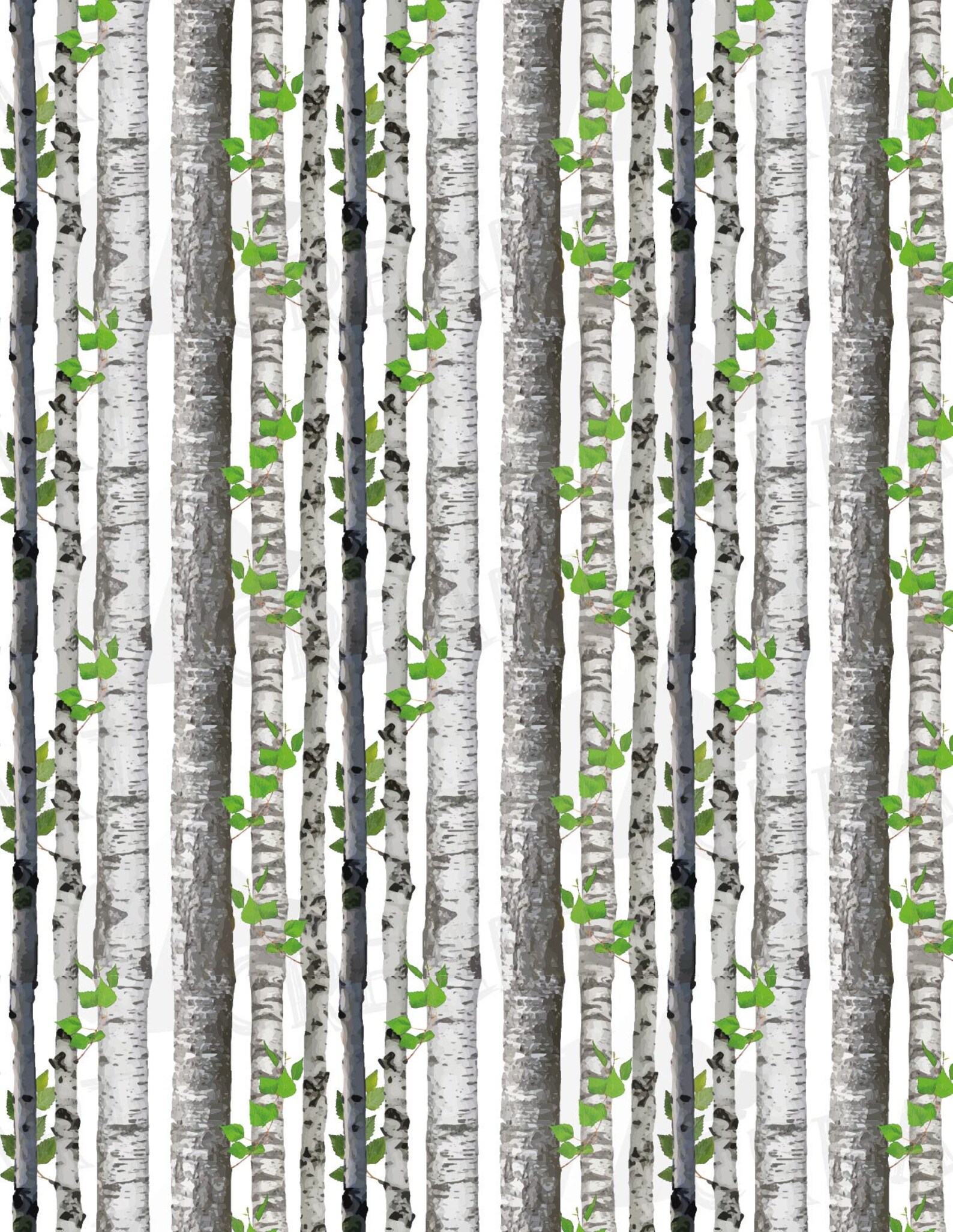 Seamless Birch Tree Vector Watercolor Pattern. Birch Trees - Etsy