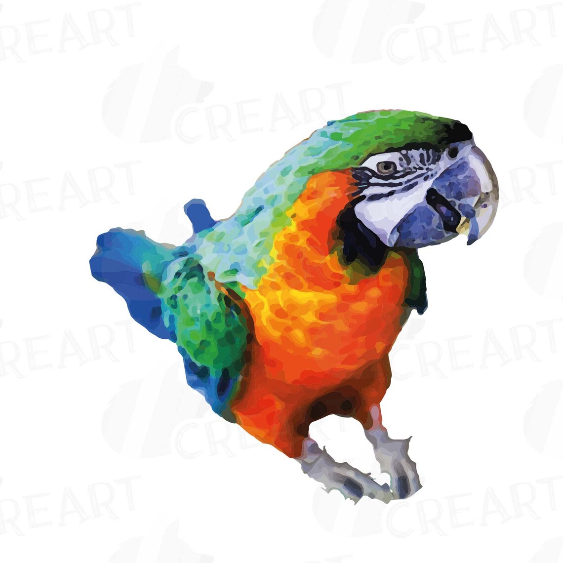 Watercolor Parrots Clip Art Collection Colorful Watercolor - Etsy