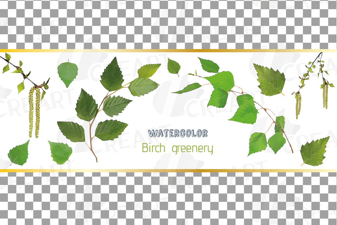 Watercolor Birch Tree Clip Art Greenery Trunk Leaves - Etsy