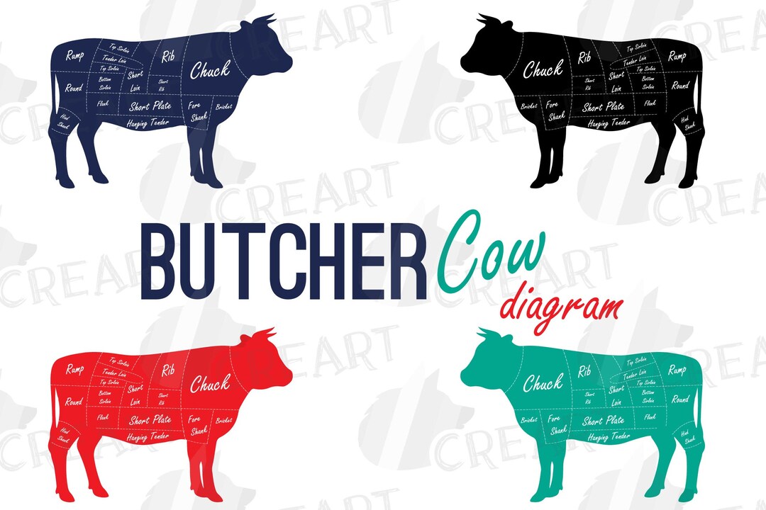 Butcher Cow Diagram Clipart: Beef Cuts Vector (digital Files) - Etsy