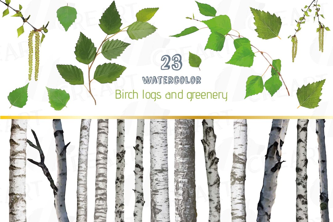 Watercolor Birch Tree Clip Art, Greenery, Trunk, Leaves Decoration ...
