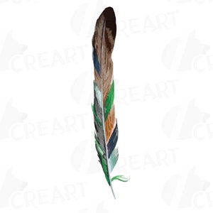 Watercolor Tribal Feathers Clip Art, Colorful Boho Feathers Pack, Bird ...