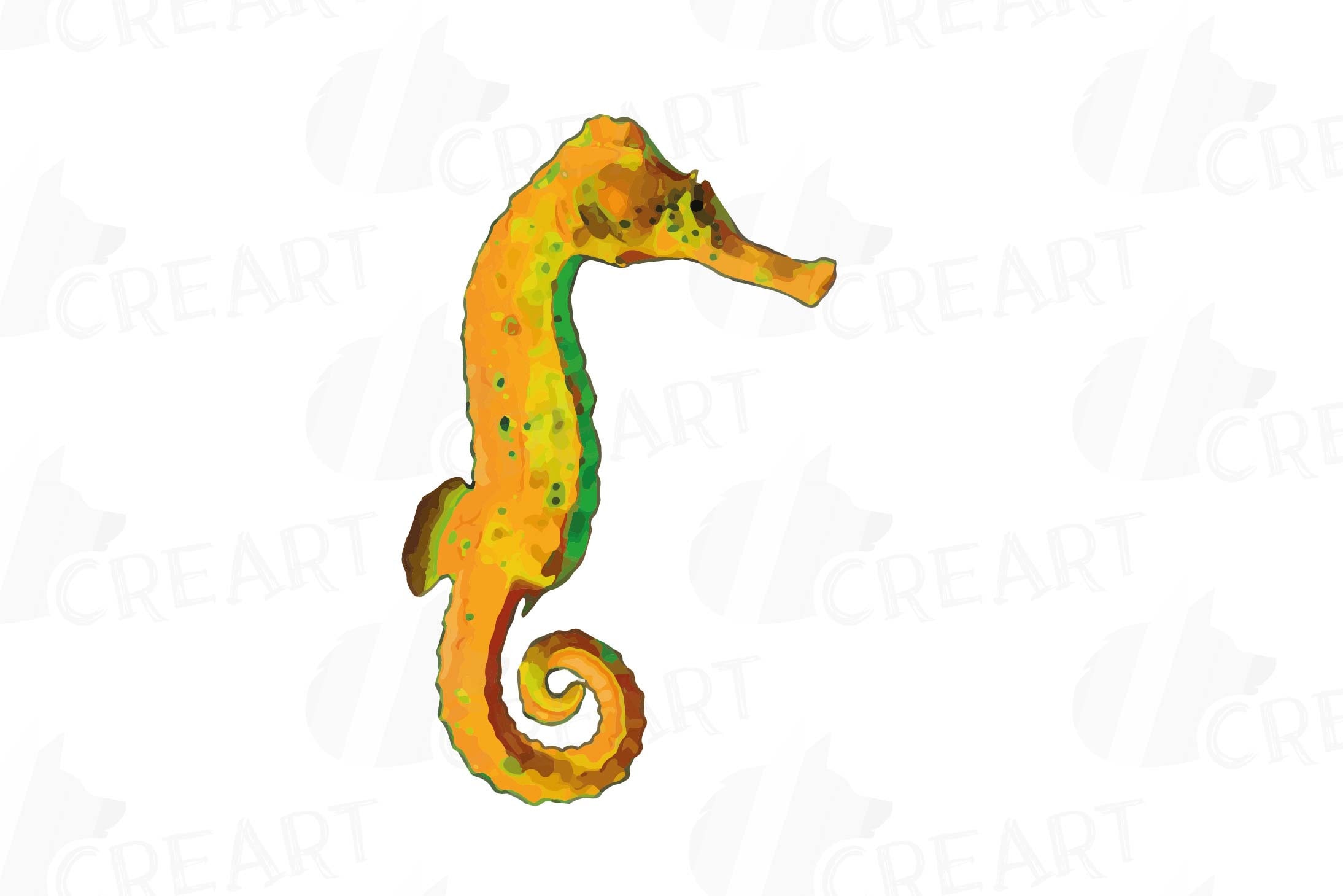 Seahorse Watercolor Clip Art Pack, Colorful Seahorses Tropical ...