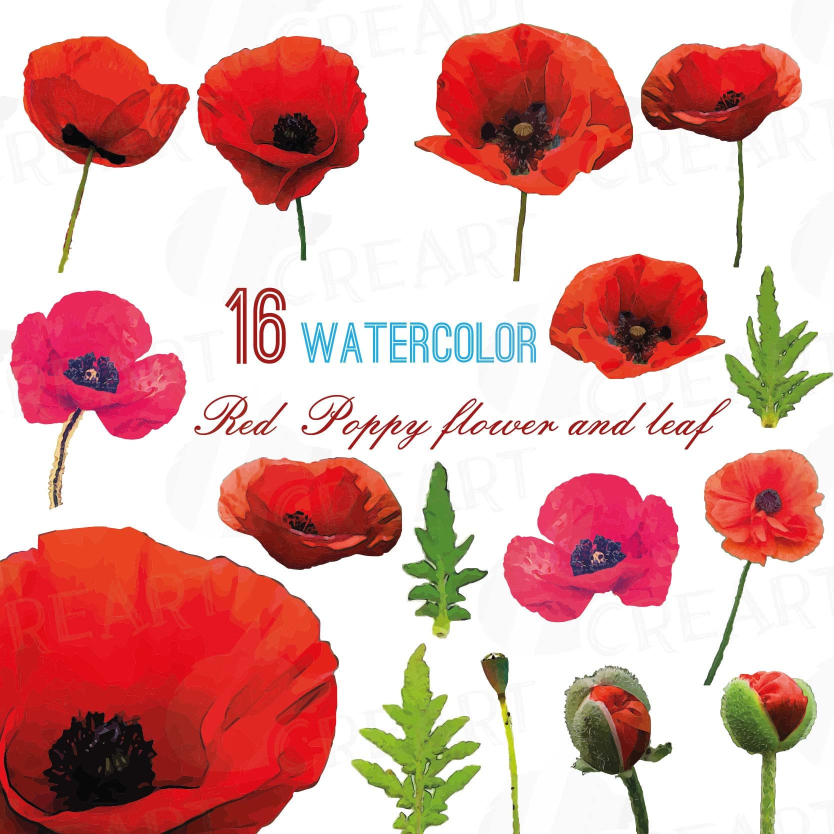 Poppy Field Clip Art