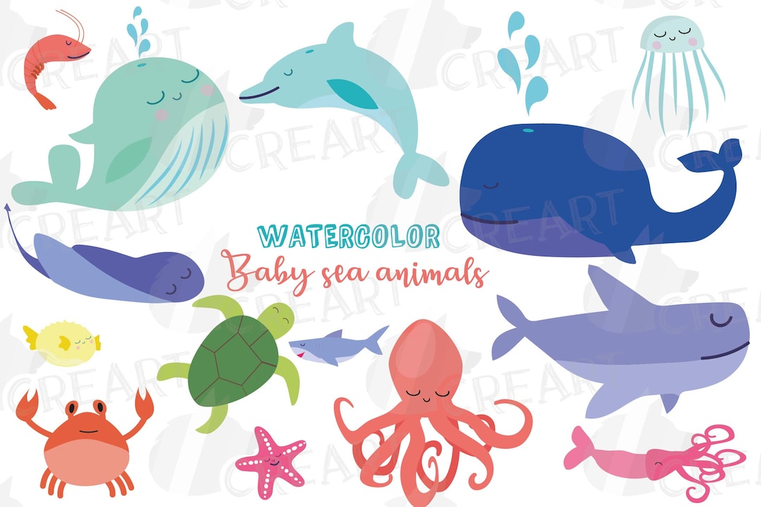 Cute Sea Animals Baby Shower Gift Graphics. Baby Shark, Crab, Jellyfish ...