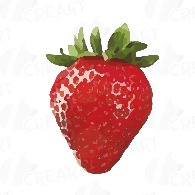 Watercolor Strawberries Clip Art Pack Strawberry Flower and - Etsy