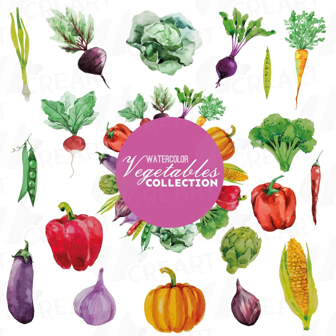 Watercolor Vegetables Clipart: Food Illustration Graphics (digital ...