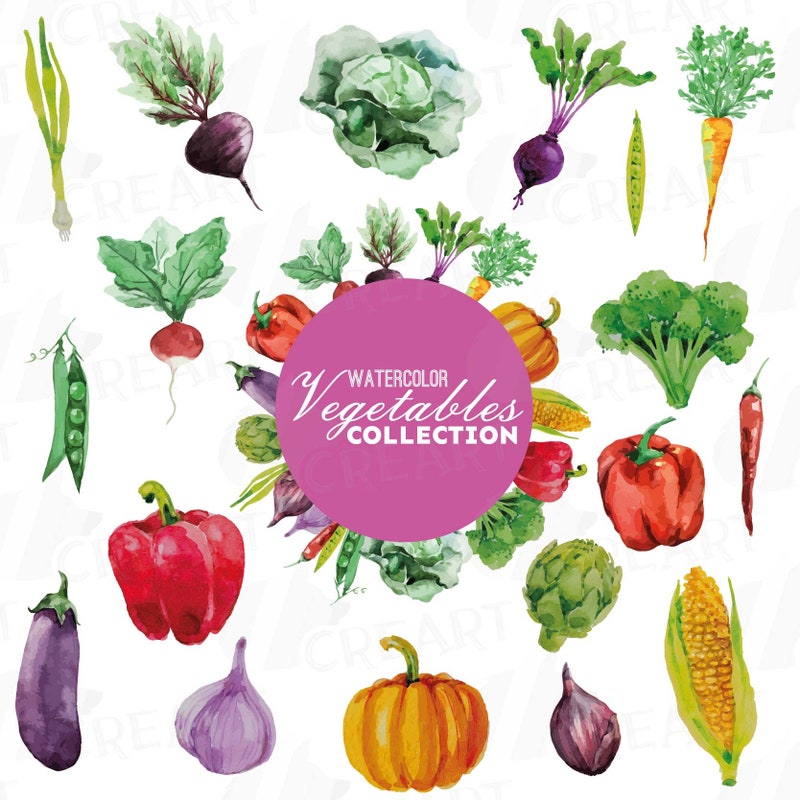 Vegetable Clip Art - Etsy