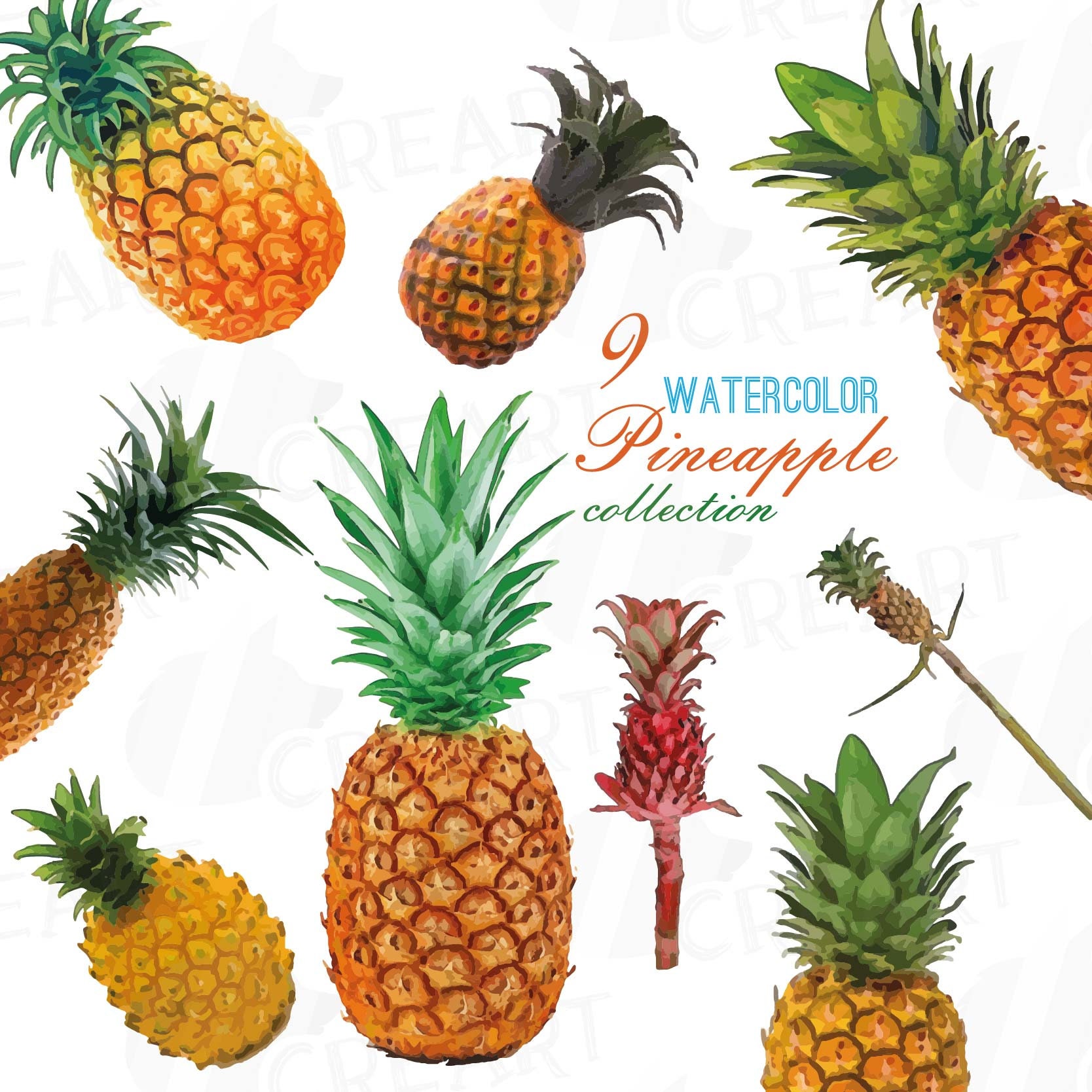 Watercolor Pineapple clip art pack watercolor ananas clip art | Etsy