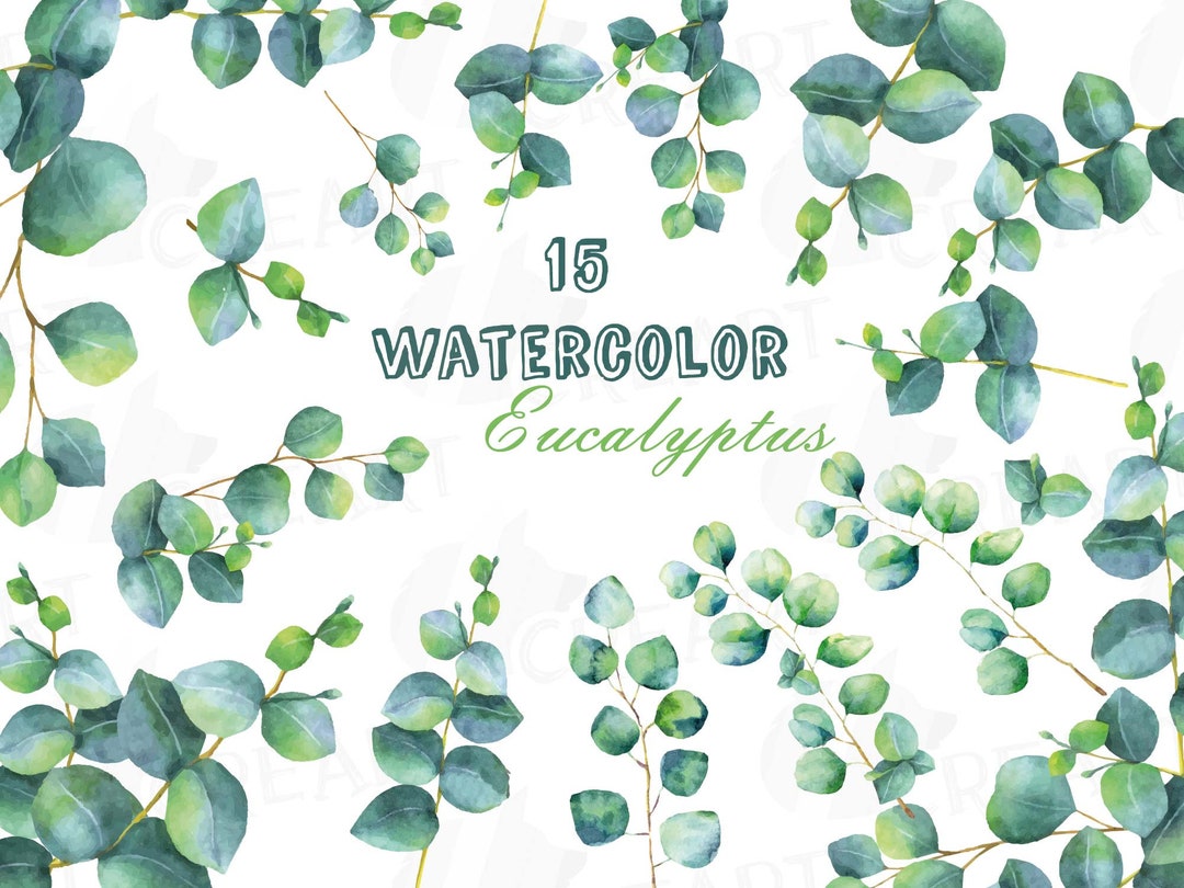 Eucalyptus Leaves and Branches Watercolor Wedding Clip Art. Eucalyptus ...