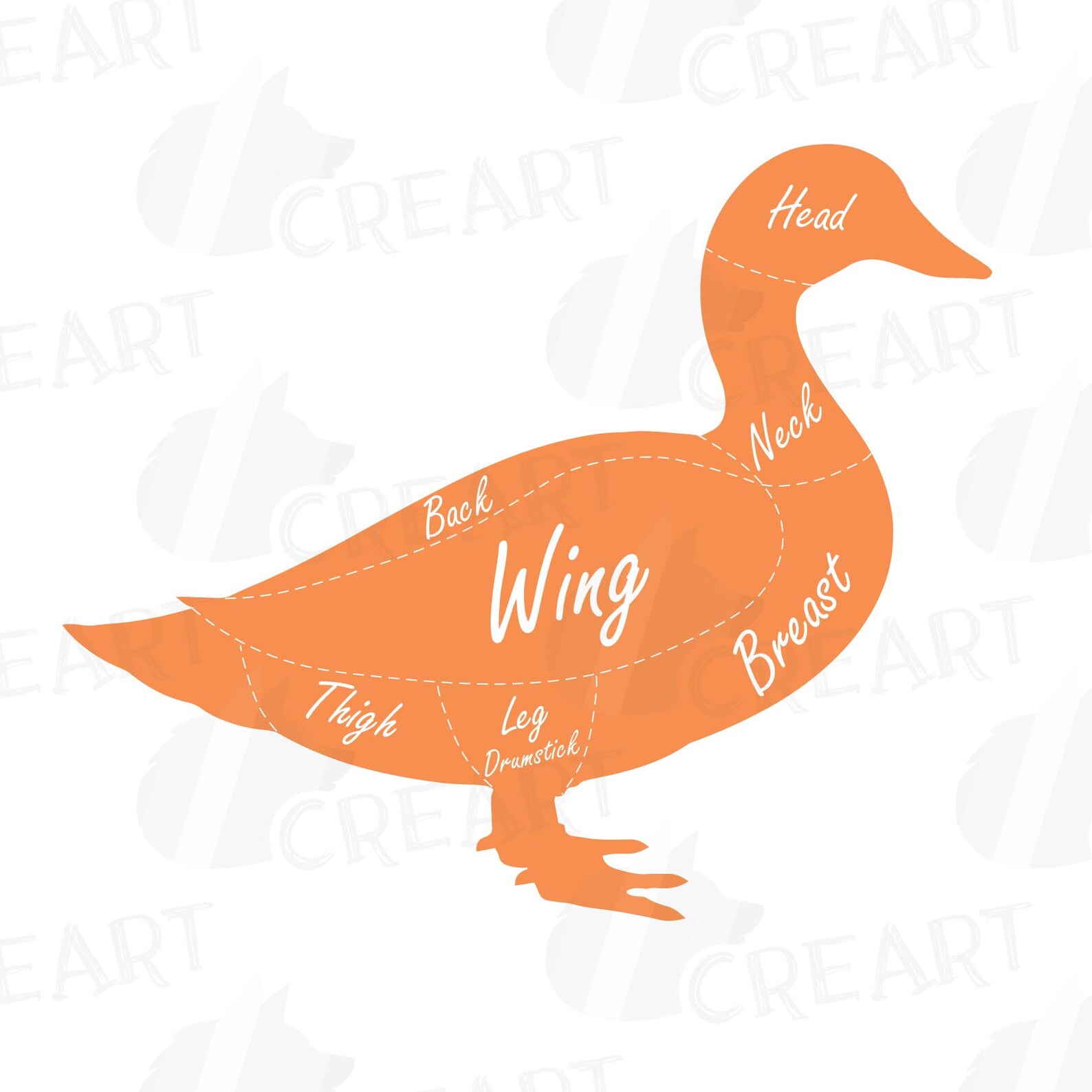 Butcher Duck Diagram Clip Art Digital Duck Chart Duck Cuts | Etsy