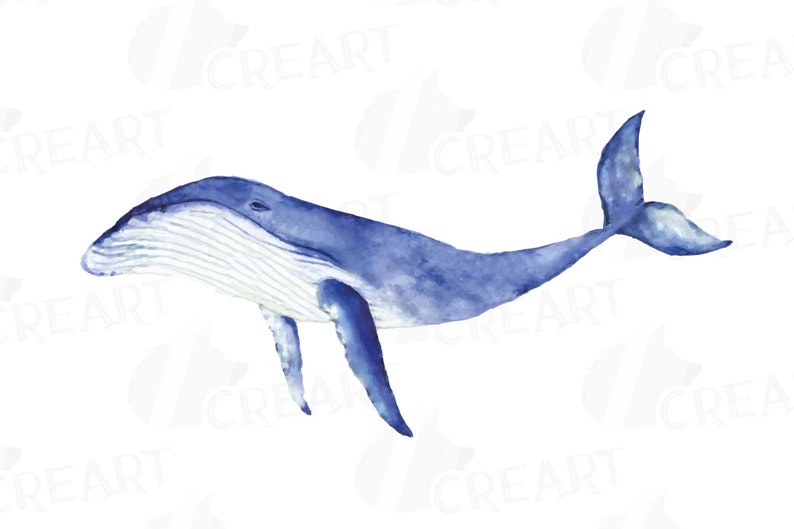 Watercolor Blue Whale Clip Art Pack, Blue Whales Decoration. Printable ...