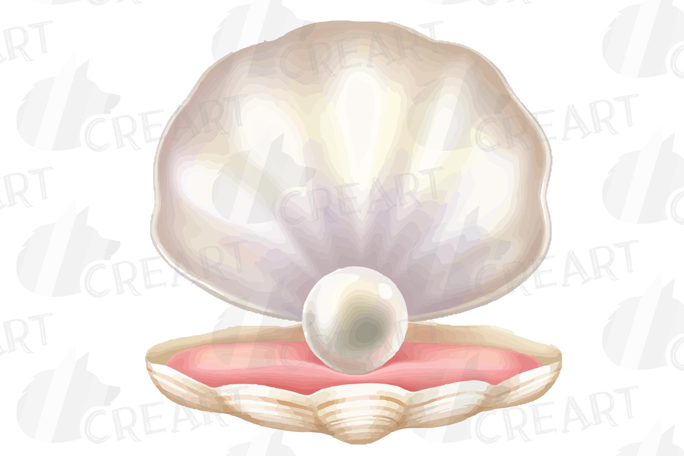 Watercolor Pearl Clam Shell Design Elements Clip Art. | Etsy