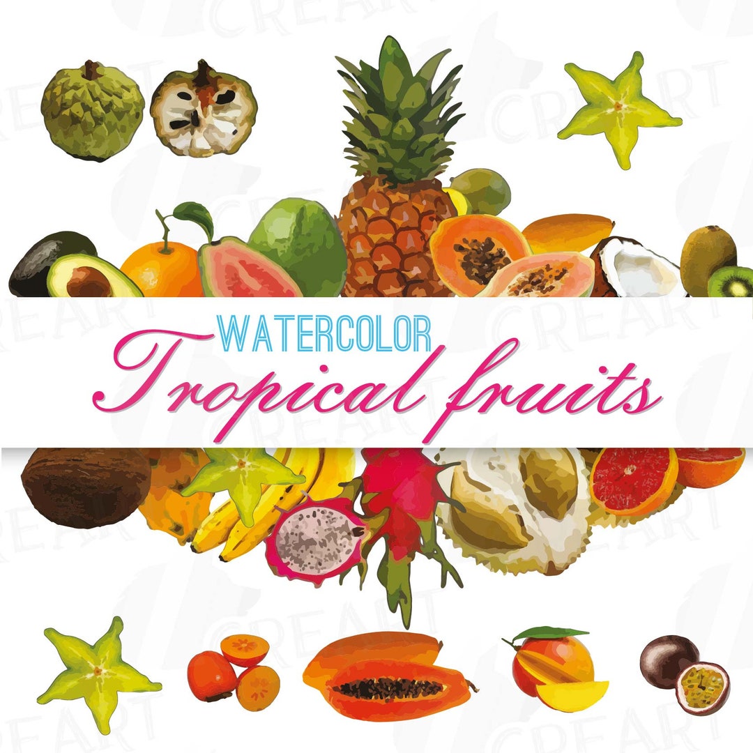 Watercolor Exotic Fruits Clip Art Pack, Exotic Tropical Theme ...