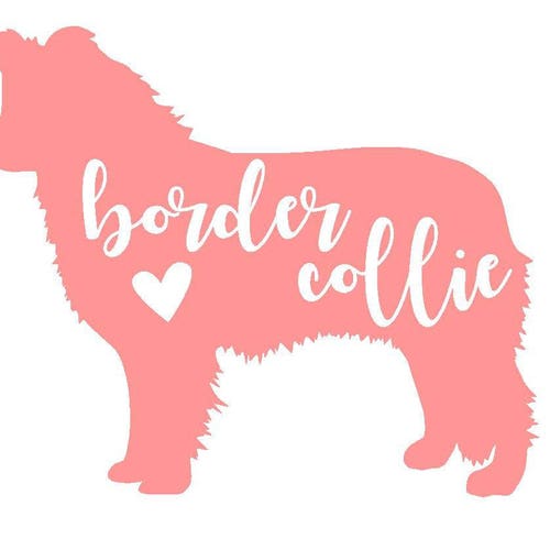 Just Throw It Border Collie TP 526 Vinyl 6 Decal Sticker | Etsy