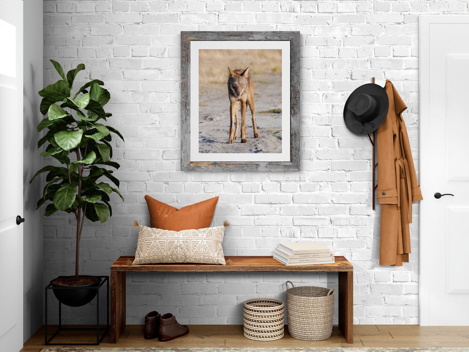 Red Wolf 3672, Authentic Outer Banks Photography, Outer Banks Wildlife ...