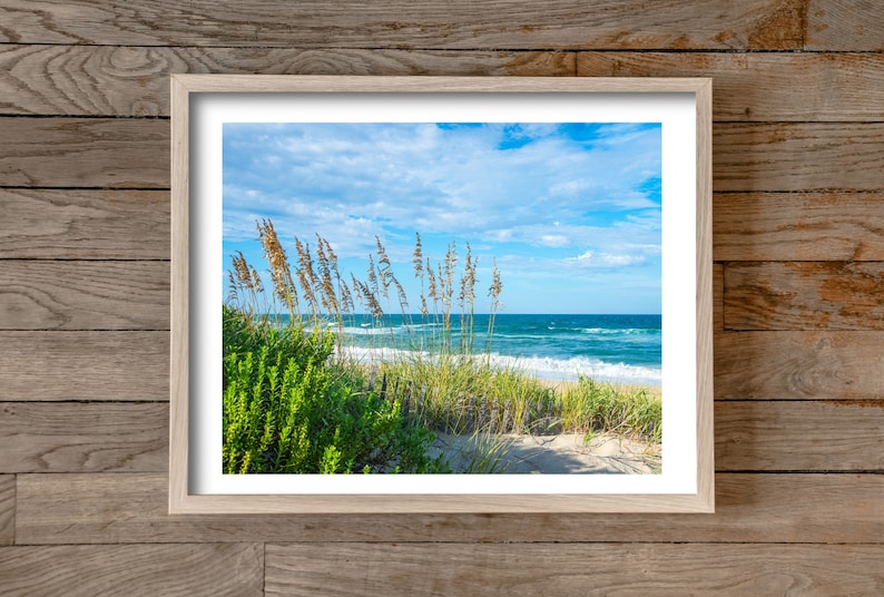 Classic Outer Banks With Sea Oats, Outer Banks Art, Beach Art, Outer ...