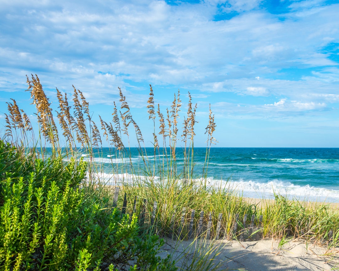 Classic Outer Banks With Sea Oats Outer Banks Art Beach Art - Etsy