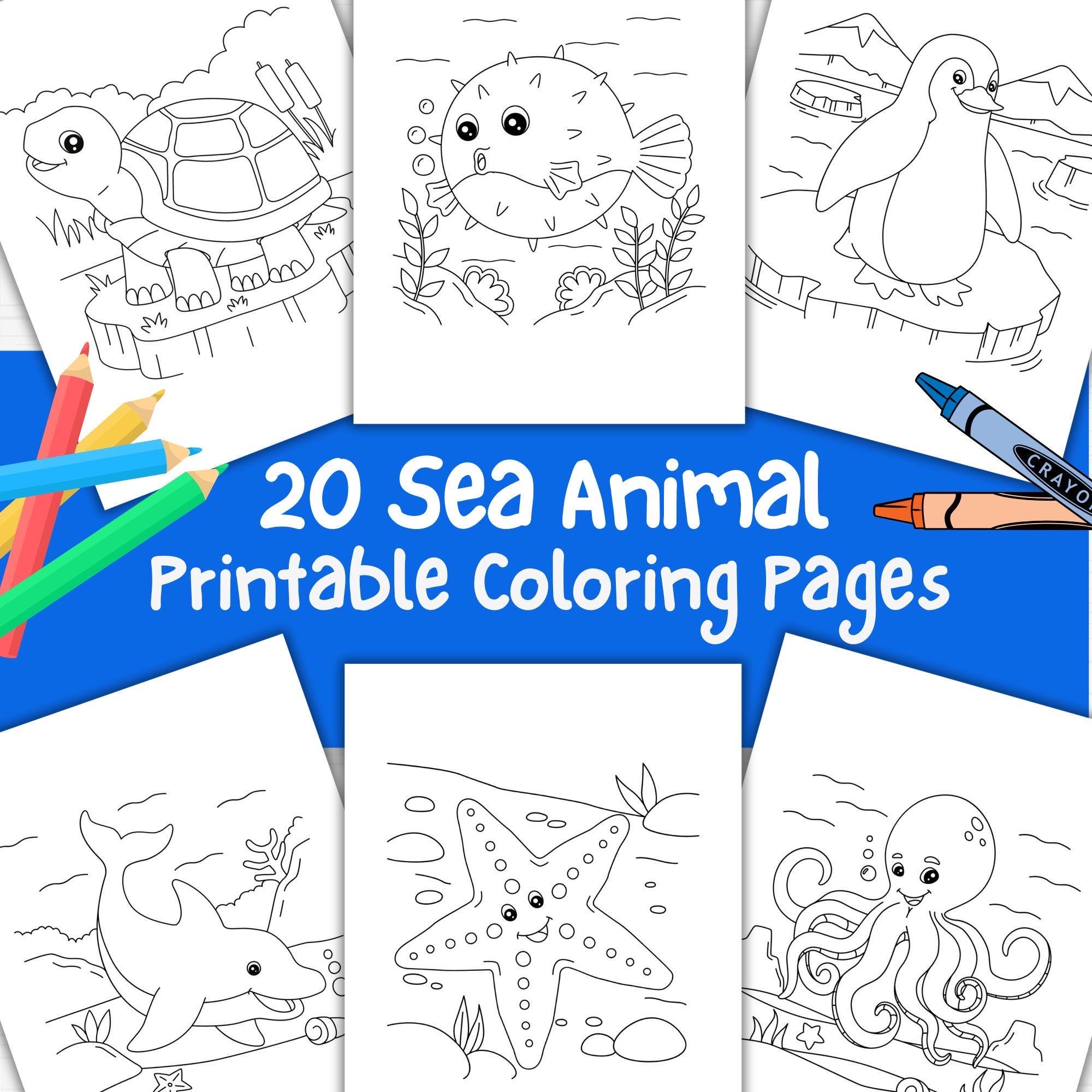 Sea Animal Coloring Printable for Kids Toddler Coloring Pages, Ocean ...