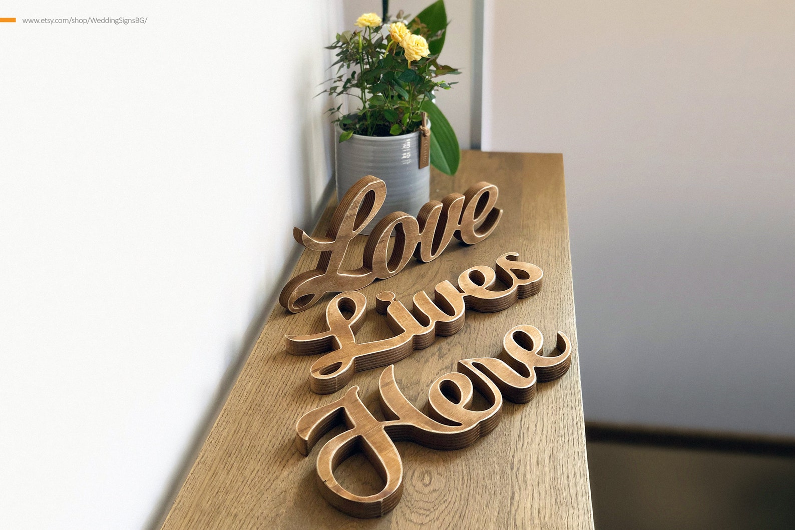 Mantel Decor Sign | Self Standing Wood Signs | Love Lives Here | Shabby ...